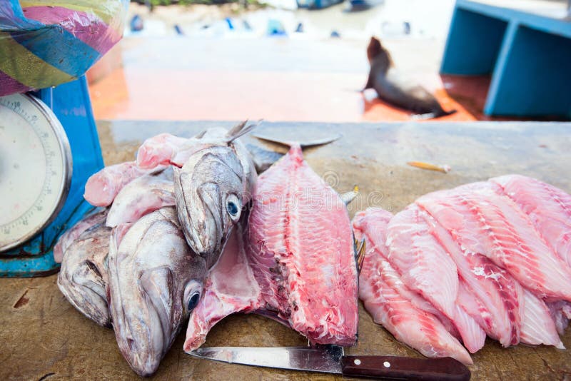 Fresh Fish at Seafood Market Stock Image - Image of fish, local: 29149257