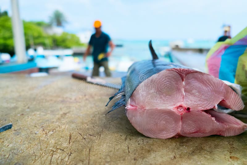 Fresh Fish at Seafood Market Stock Image - Image of fish, traditional ...