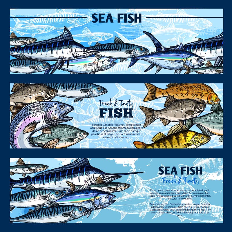 Fresh Cod Fish Stock Illustrations – 893 Fresh Cod Fish Stock ...