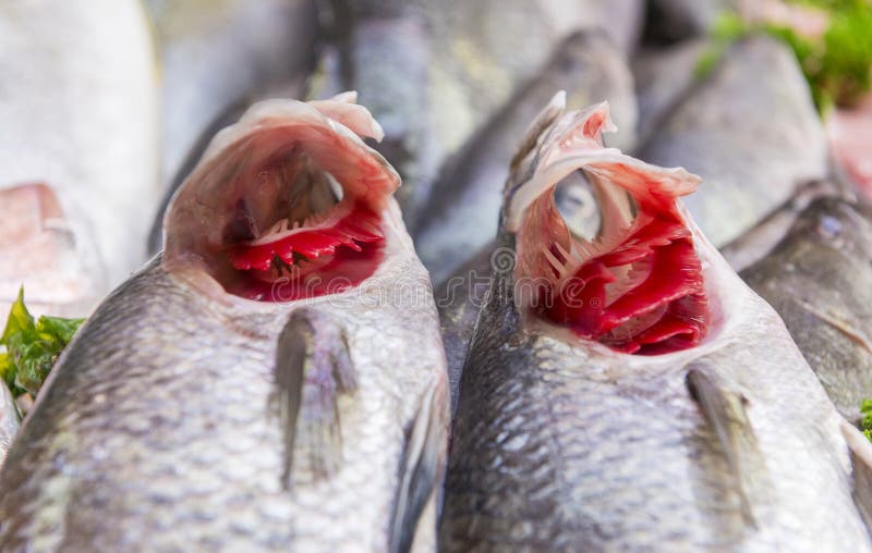 Fresh Fish Section on Retail Supermarket Stock Photo - Image of ...