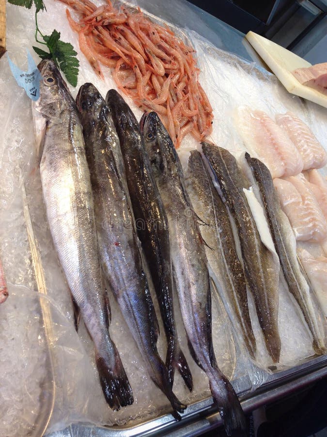 Fresh fish editorial photo. Image of fresh, sale, fish - 43466641