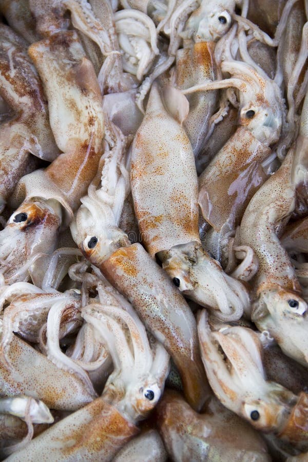 Fresh Fish and Shellfish in Cambrils Harbor, Tarragona, Spain. Stock ...