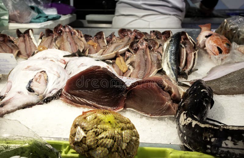 Fresh fish shop stock photo. Image of fresh, supermarket - 180100028