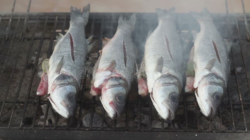 Fresh Fish Smoked on the Grill. Four Fish on the Fire Stock Video ...