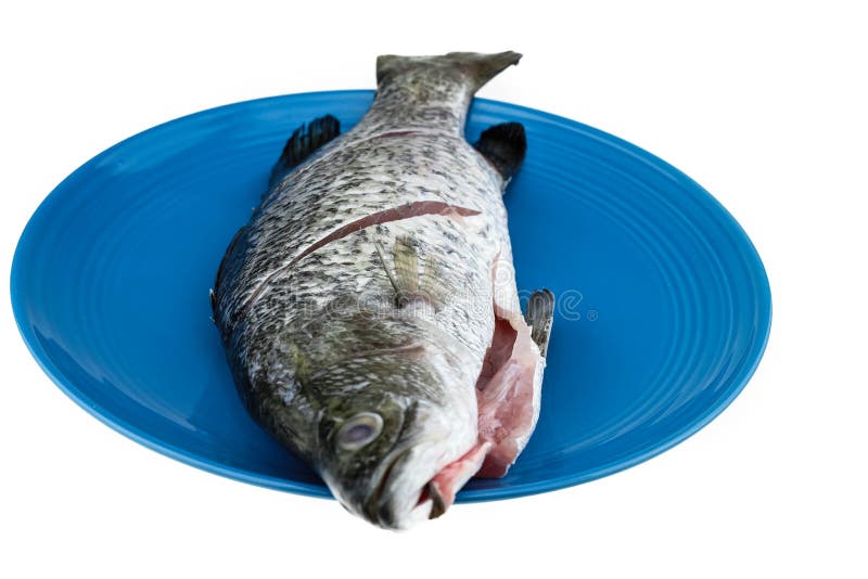 Fish: Red Snapper Head Close Up Stock Photo - Image of food, dinner ...