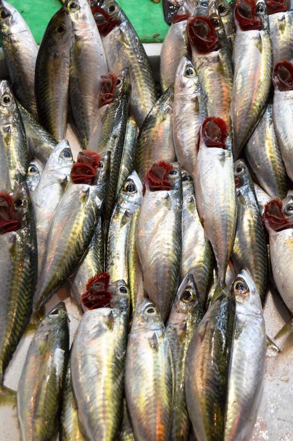 Fresh fish sold stock image. Image of fishery, bream - 89452817