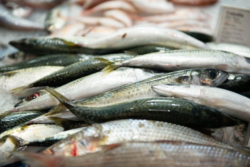 Fresh Fish Sold on Fish and Seafood Market Stock Photo - Image of ...