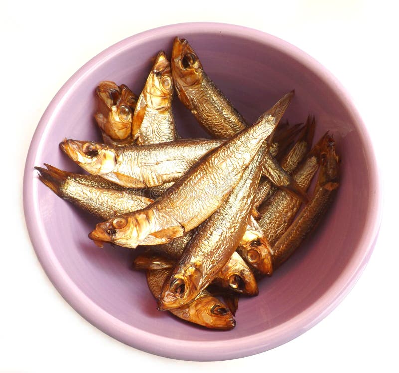 Fresh fish stock photo. Image of fresh, fish, head, starter - 53631750