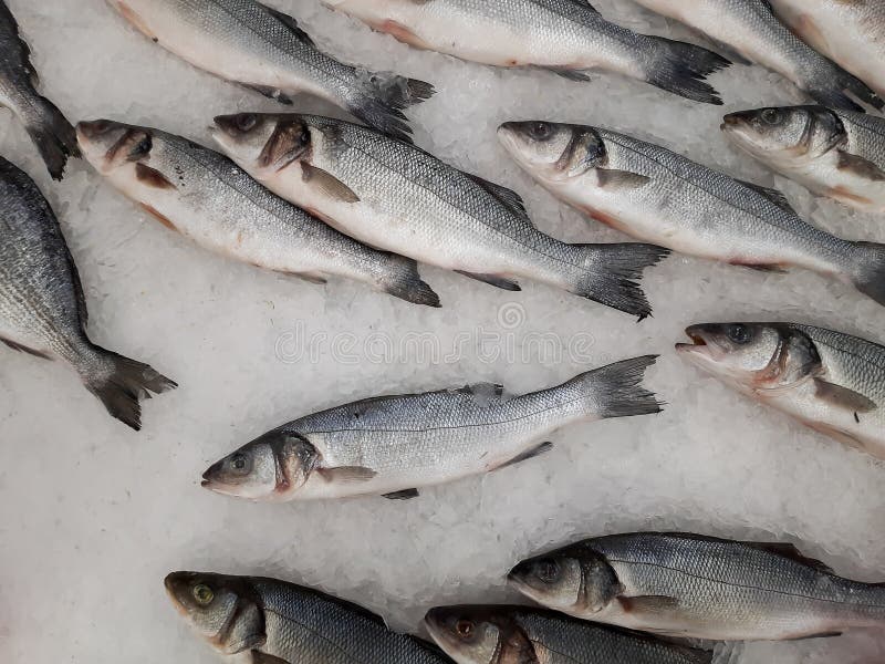 Fresh Fish in the Store Top View. Stock Photo - Image of cold, closeup ...