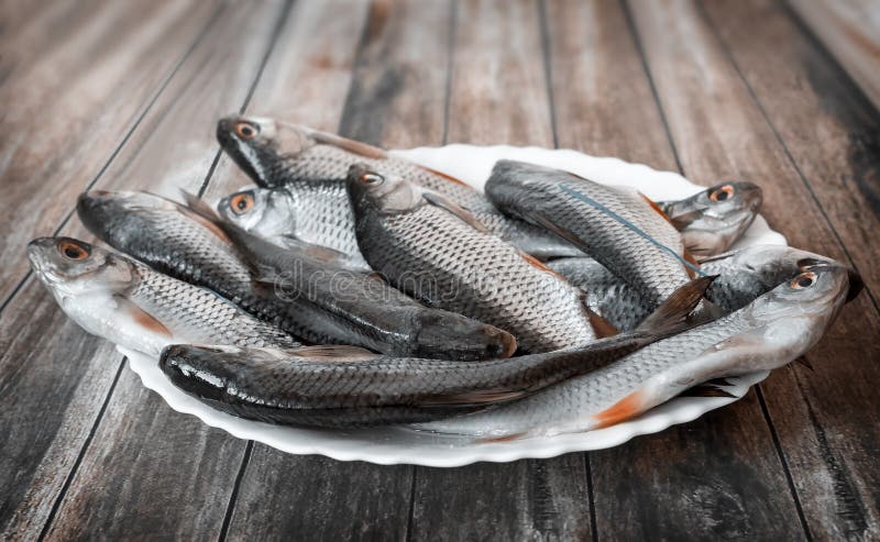 Fresh Fish on the Table on a White Plate. Stock Photo - Image of ...