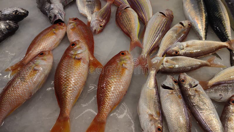 Fresh Fish in Traditional Taiwan Market Stock Image - Image of ...