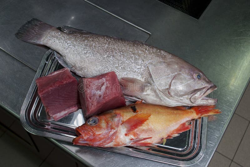 Fresh Fish on a Tray Prepared for Frying Stock Image - Image of chef ...