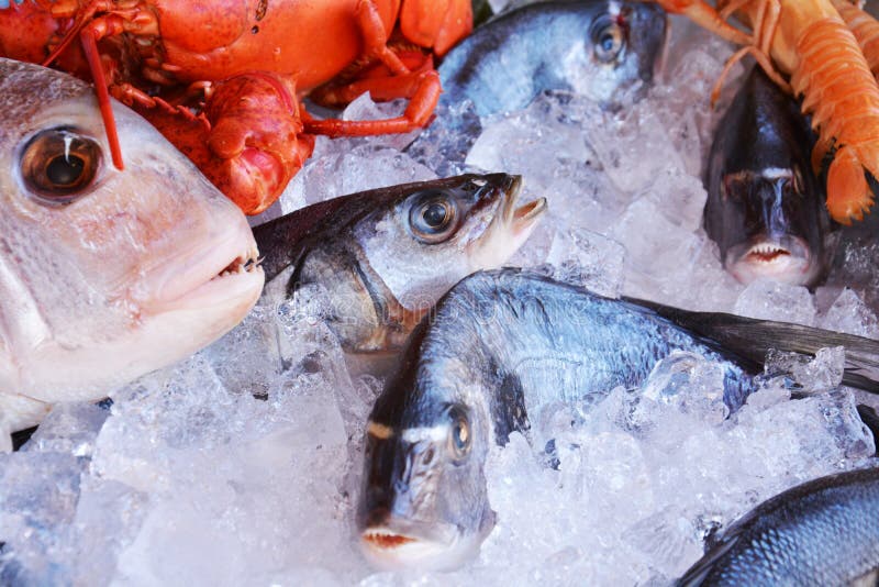 Fresh fish and health stock photo. Image of fishes, gourmet - 54829598