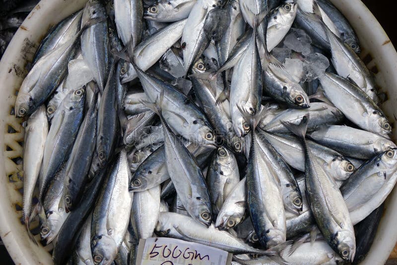 Fresh fish at wet market stock photo. Image of diet, ocean - 54058482