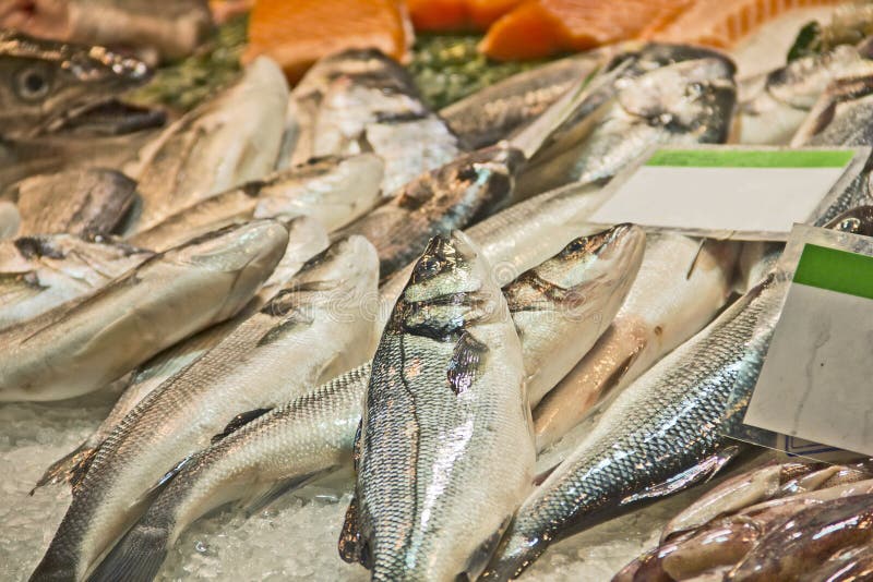 Fresh fishes stock image. Image of delicious, lunch, healthy - 22960673