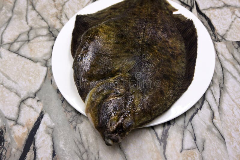 Fresh Fishes Flounder on White Background . Stock Image - Image of ...