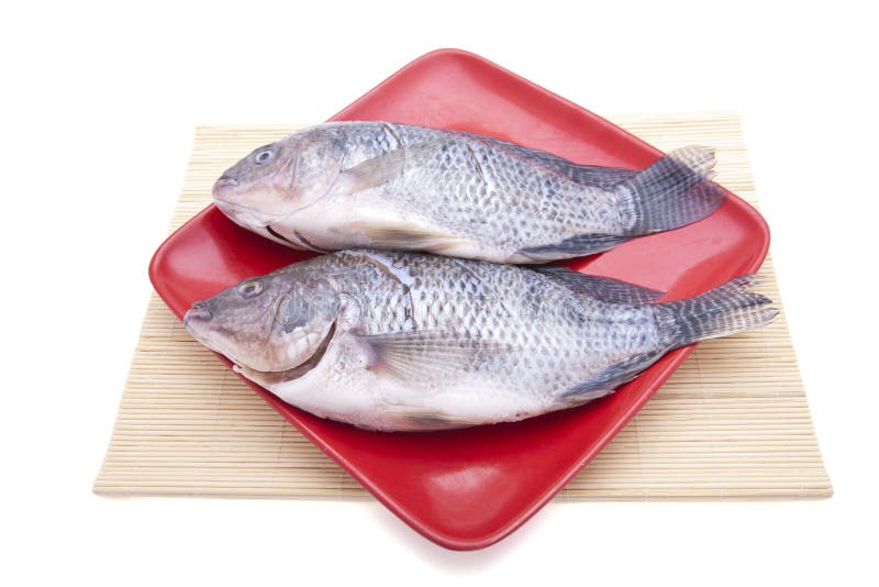 Fresh fishes on plate stock image. Image of fish, plate - 22675355