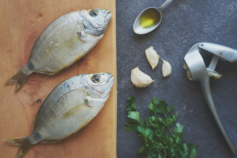 Fresh fish gilthead bream stock photo. Image of delicious - 31428876