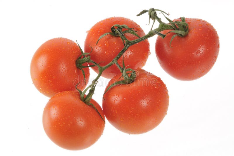 Fresh five red tomatoes stock photo. Image of juicy, horizontal - 12950336