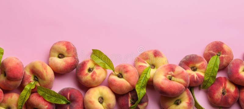 Fresh Flat Peaches on Pink Background, Top View. Banner Design with ...