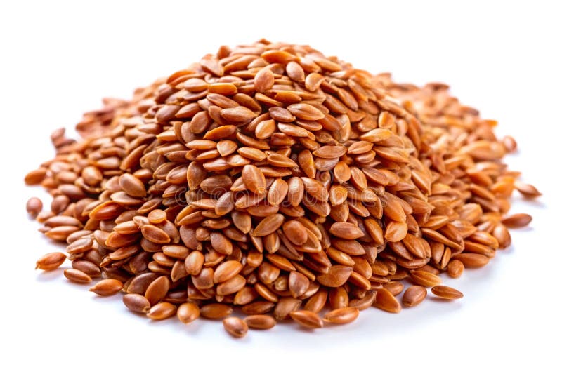 Fresh Flax Seed, Isolated on White Background Stock Illustration ...