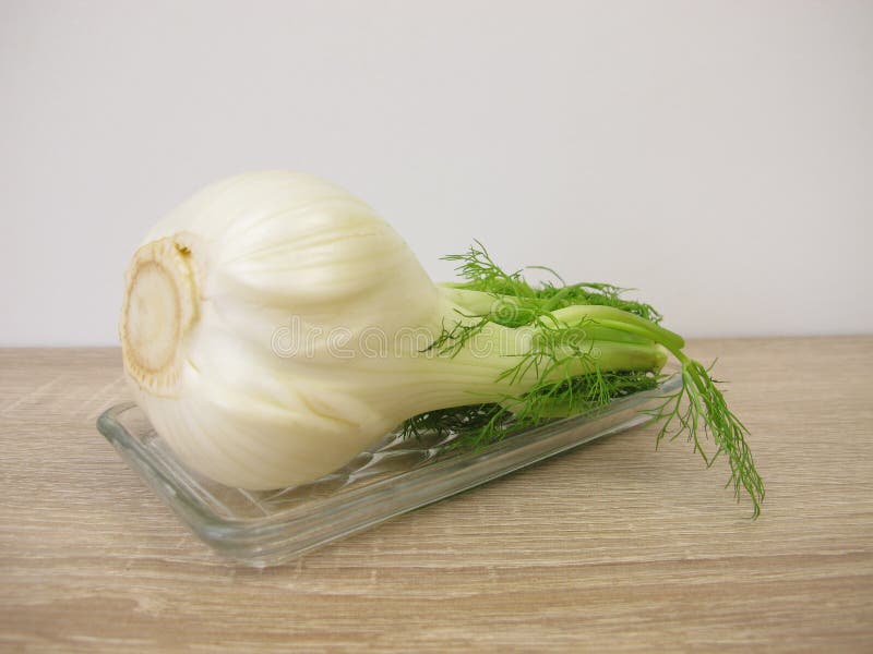 A Fresh Florence Fennel Bulb Stock Photo - Image of bulb, foliage ...