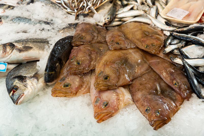 Fresh Flounder Fish on Ice in Shop Stock Photo - Image of colorful ...