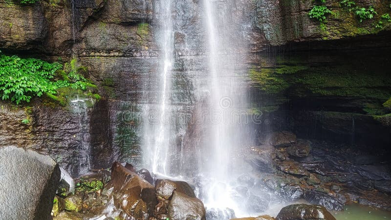 Fresh Flow of Water from a Natural Spring in the Middle of the Forest ...