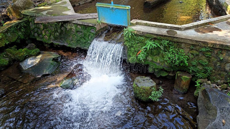 Fresh Flow of Water from a Natural Spring in the Middle of the Forest ...
