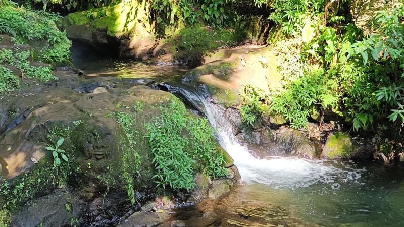 Fresh Flow of Water from a Natural Spring in the Middle of the Forest ...