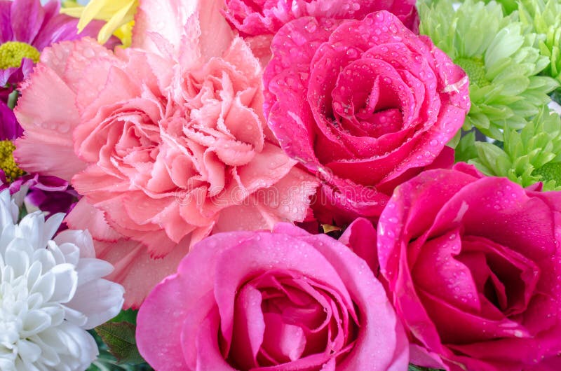 Fresh flower background stock image. Image of flower - 56987953