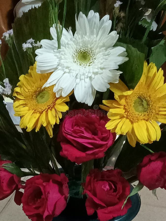 Fresh Flowers Buke with Red Roses Stock Image - Image of flowers, buke ...