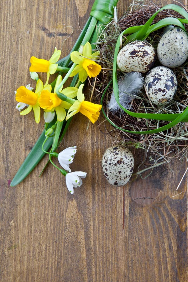 Fresh Flowers and a Easter Nest Stock Image - Image of vibrant, quail ...