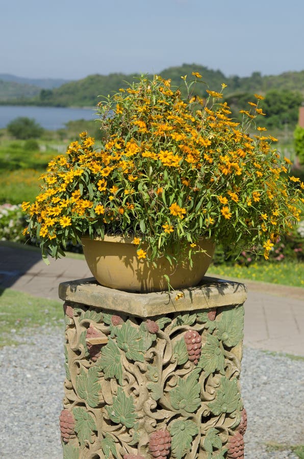 Fresh Flowers in Pots in the Garden. Stock Image - Image of landscape ...