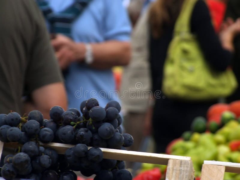 Fresh food on market stock photo. Image of fresh, fruits - 1232932