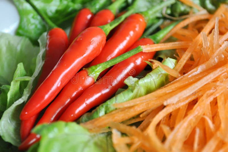 Fresh food material stock image. Image of fresh, green - 17565951