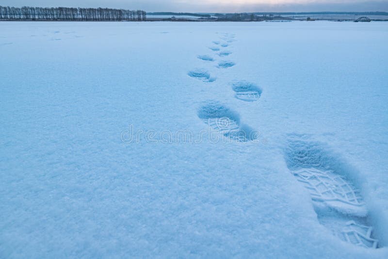 Fresh Footsteps, Footprints, Shoe Prints or Shoe Marks in the Shallow ...