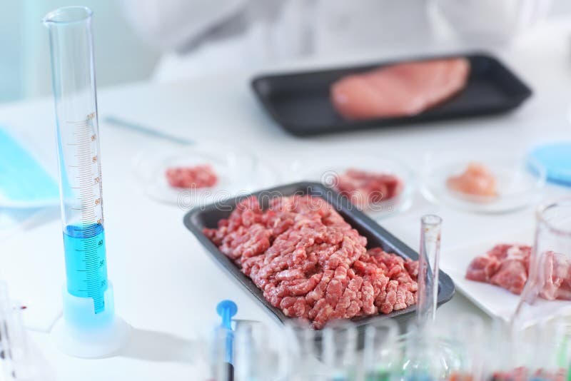 Fresh Forcemeat on Table in Laboratory Stock Photo - Image of examining ...