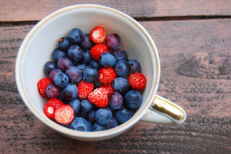 Fresh forest berries stock photo. Image of close, fresh - 20190178