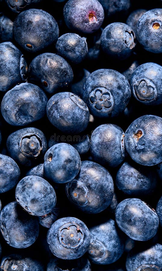Fresh Forest Fruit. Full Frame Shot of Natural Source of Vitamins and ...