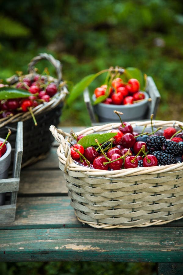 Fresh forest fruit on wood stock photo. Image of juice - 107428742