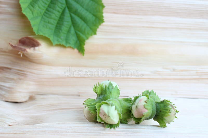 Fresh Forest Nuts on the Wooden Back Ground Stock Image - Image of nuts ...