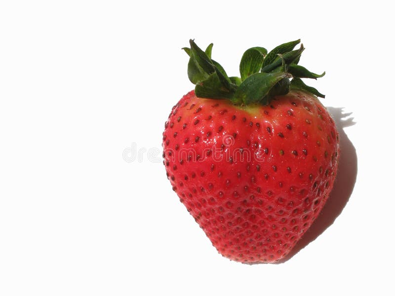Fresh Fragaria stock photo. Image of foliage, breakfast - 126246