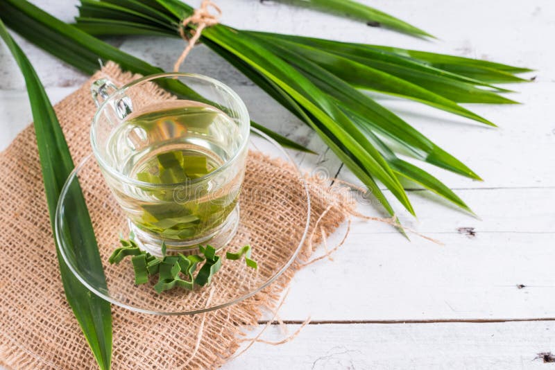 Fragrant Tea with Fresh Leaves of Green Tea Stock Photo - Image of ...
