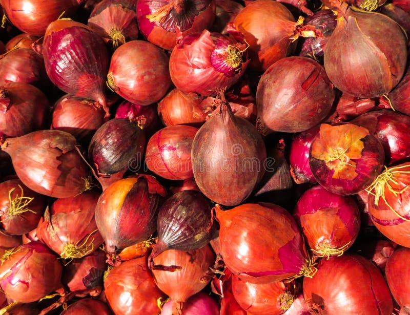 Fresh, Fragrant Red Onions in a Box Stock Photo - Image of crop ...