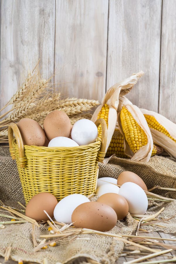 Fresh free range eggs stock image. Image of cereals, easter - 40637103