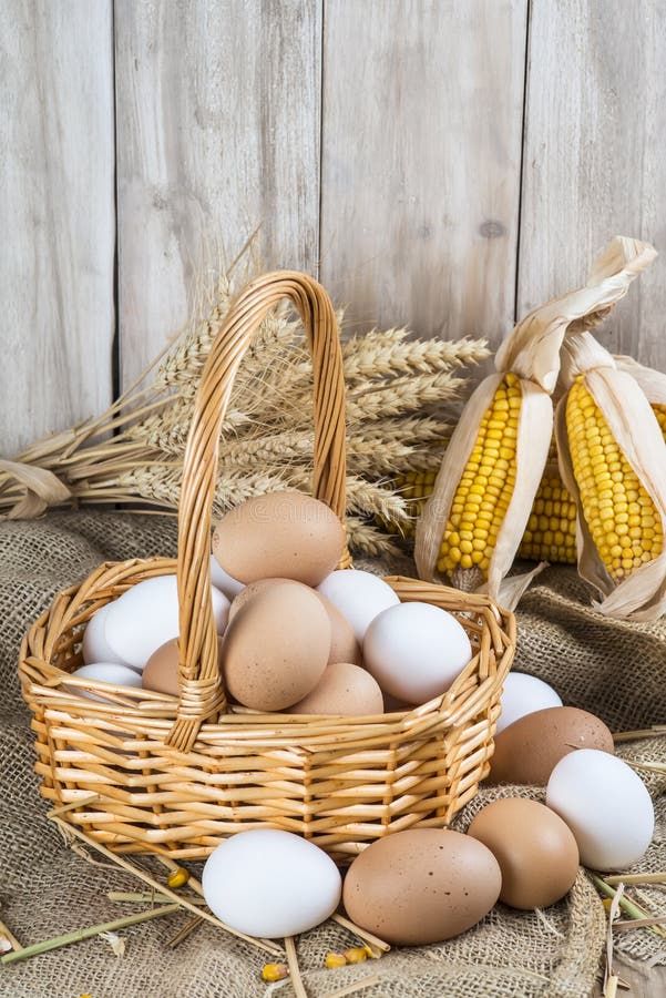 Fresh free range eggs stock image. Image of food, ecological - 40637549