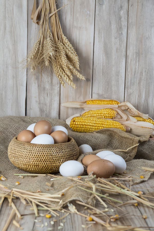 Fresh free range eggs stock photo. Image of brown, basket - 40636888