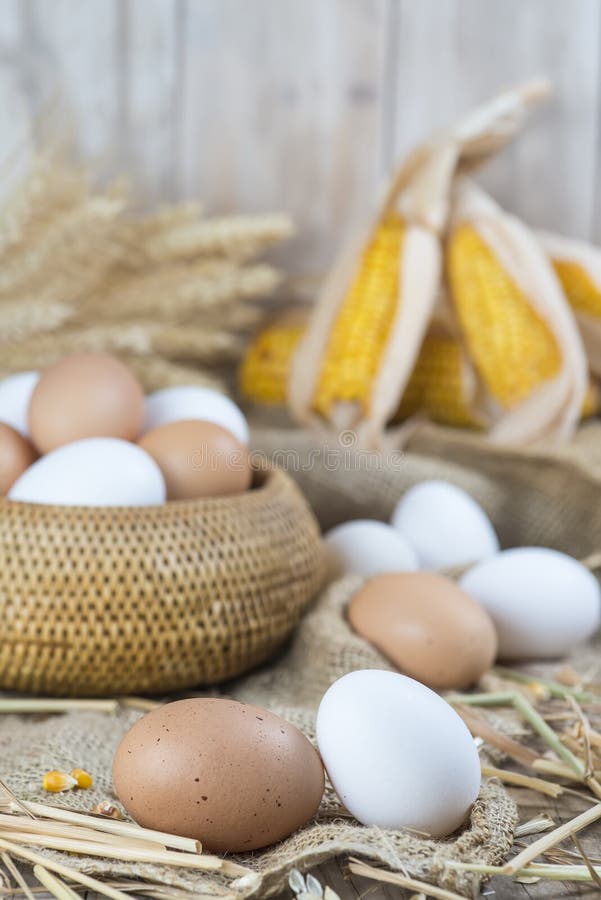 Fresh free range eggs stock image. Image of cereals, easter - 40637103