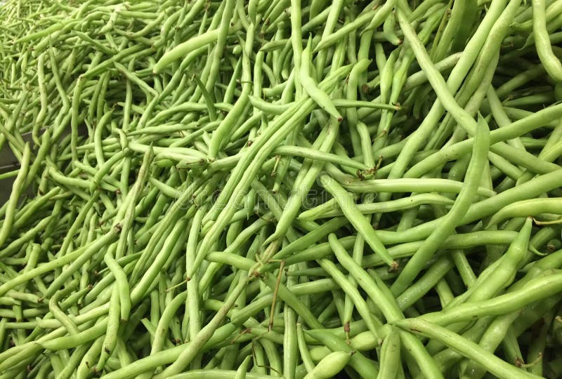 Fresh french bean stock image. Image of french, fruit - 84103961